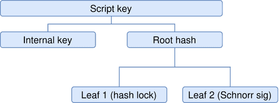 A Technical Overview of Virtual PSBTs in the Taproot Assets Protocol ...